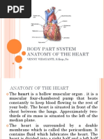 Structure of Human Heart | PDF