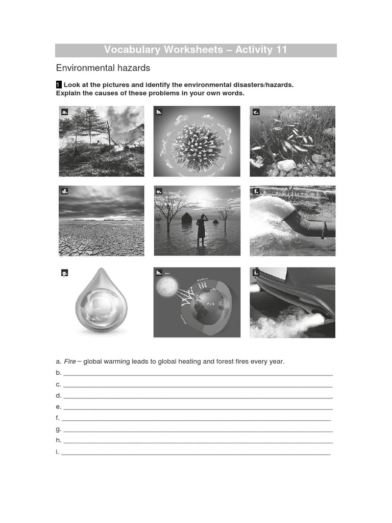Environmental Hazards Vocabulary Worksheet | PDF