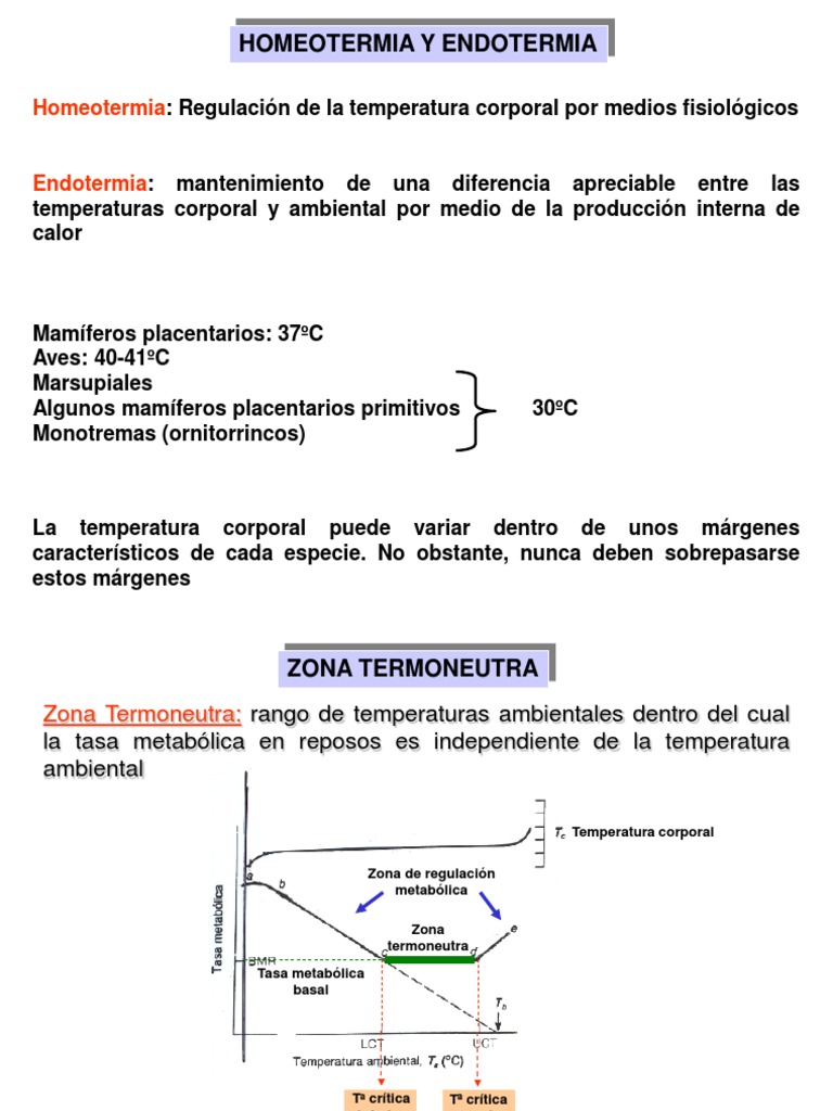 Animales y Homeotermia | PDF | Termorregulación | Fisiología
