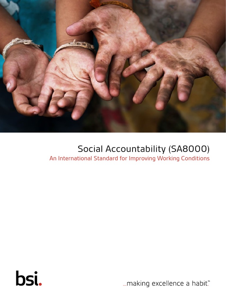 Social Accountability (SA8000) : An International Standard For ...