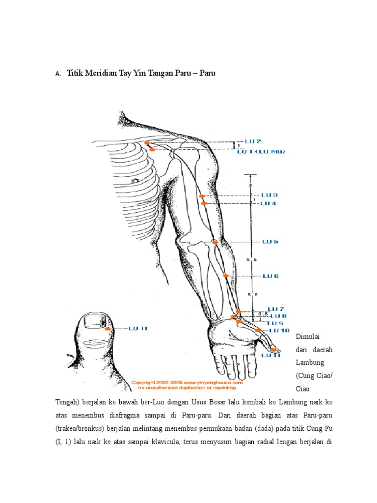 Titik Meridian Tay Yin Tangan Paru | PDF