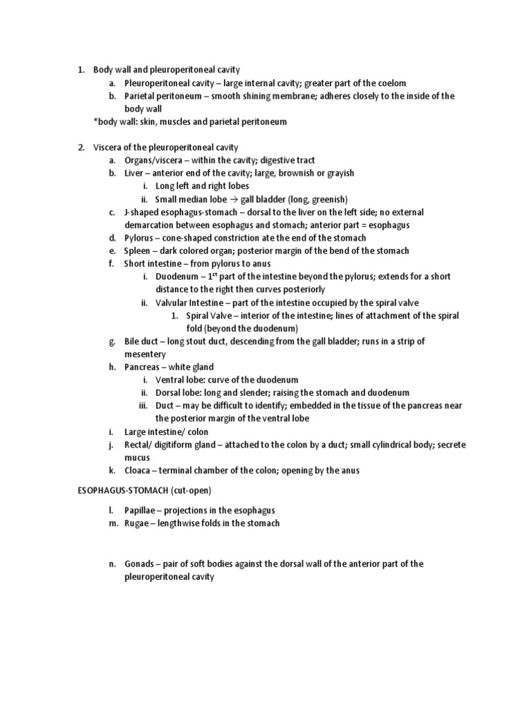 Dogfish Shark Muscles Notes | PDF | Gill | Stomach