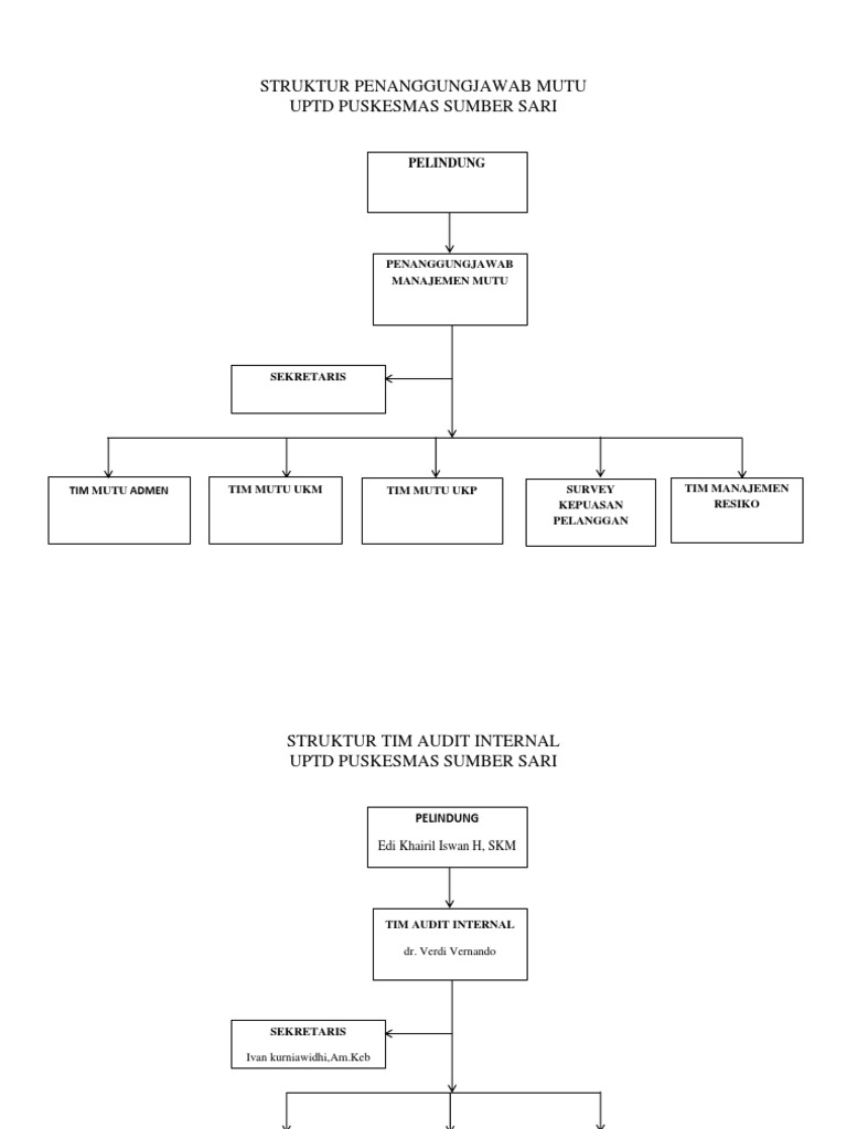 Struktur Tim Manajemen Mutu Puskesmas | PDF