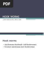 Hookworm Morphology and Species Overview | PDF | Organisms | Wellness