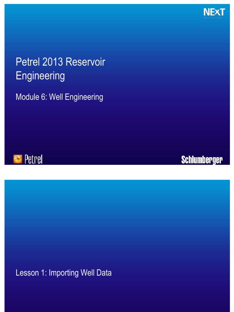 Petrel 2013 Well Engineering Guide | PDF | Data Management | Computing