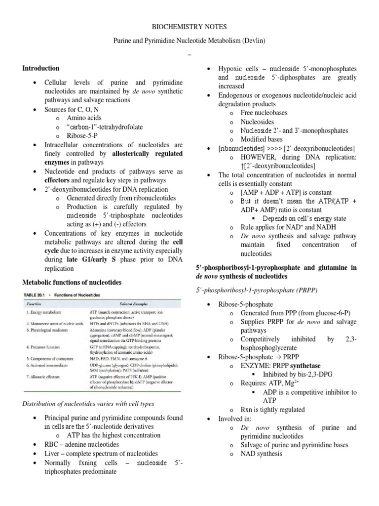 Biochemistry Notes - Nucleotide Metabolism | PDF | Nucleotides ...