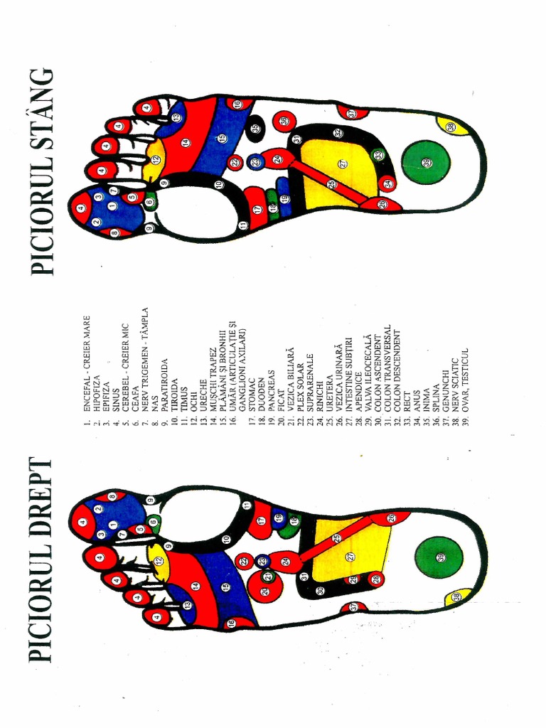 Planse Puncte Reflexoterapie (Curs Solaris) PDF | PDF