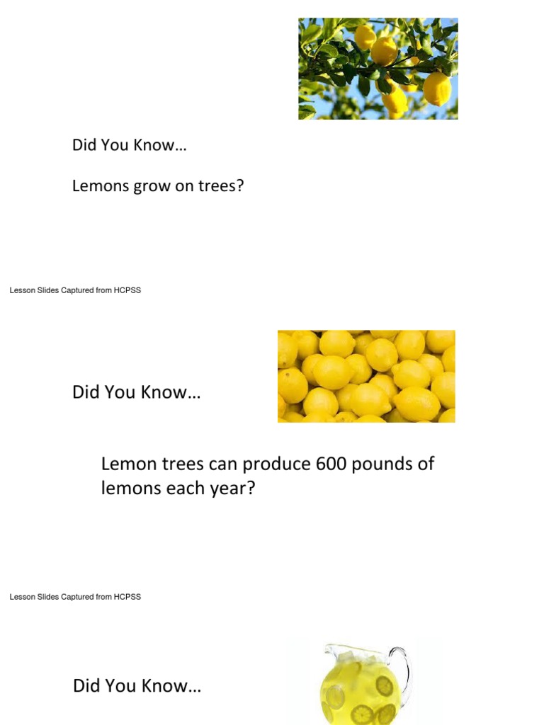 Lemon Farming Math and Facts | PDF
