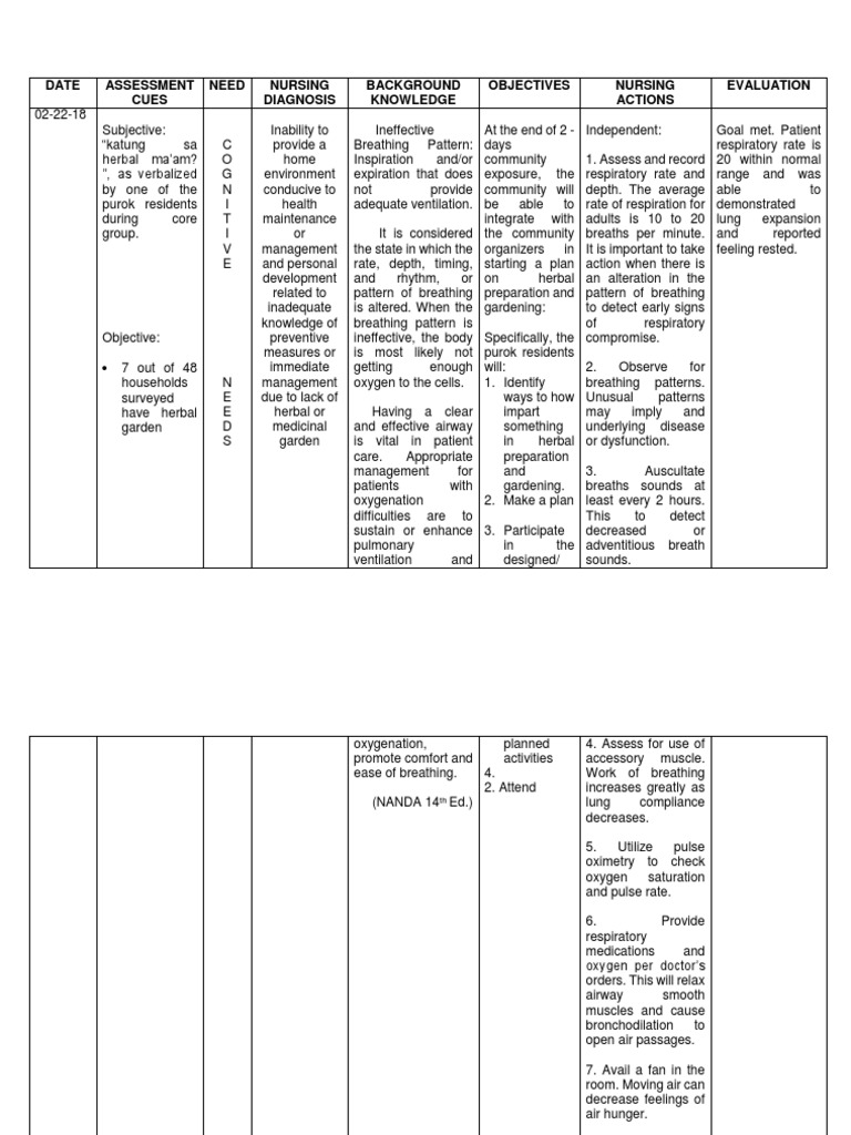 Community NCP | PDF | Breathing | Medicine