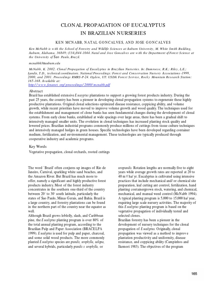 Clonal Propagation of Eucalyptus in Brazilian Nurseries | PDF | Plant ...