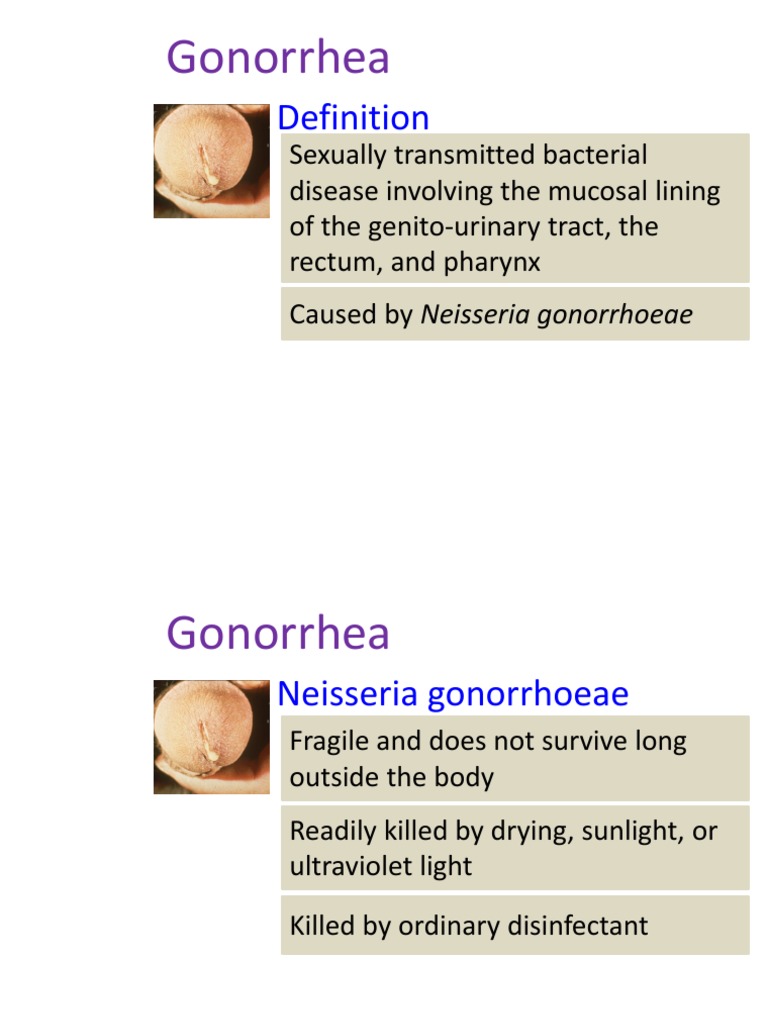 Handout STI | PDF | Sexually Transmitted Infection | Animal Diseases