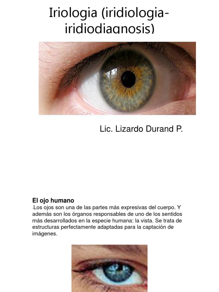 Iridologia | PDF | Ojo humano | Anatomía