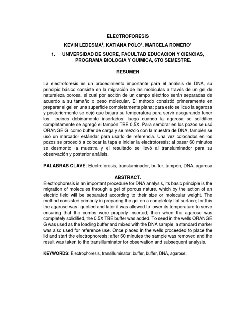 Informe Electroforesis | PDF | Electroforesis | Adn