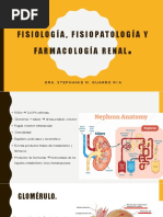 Funciones del Aparato Yuxtamedular | PDF | Angiotensina | Riñón