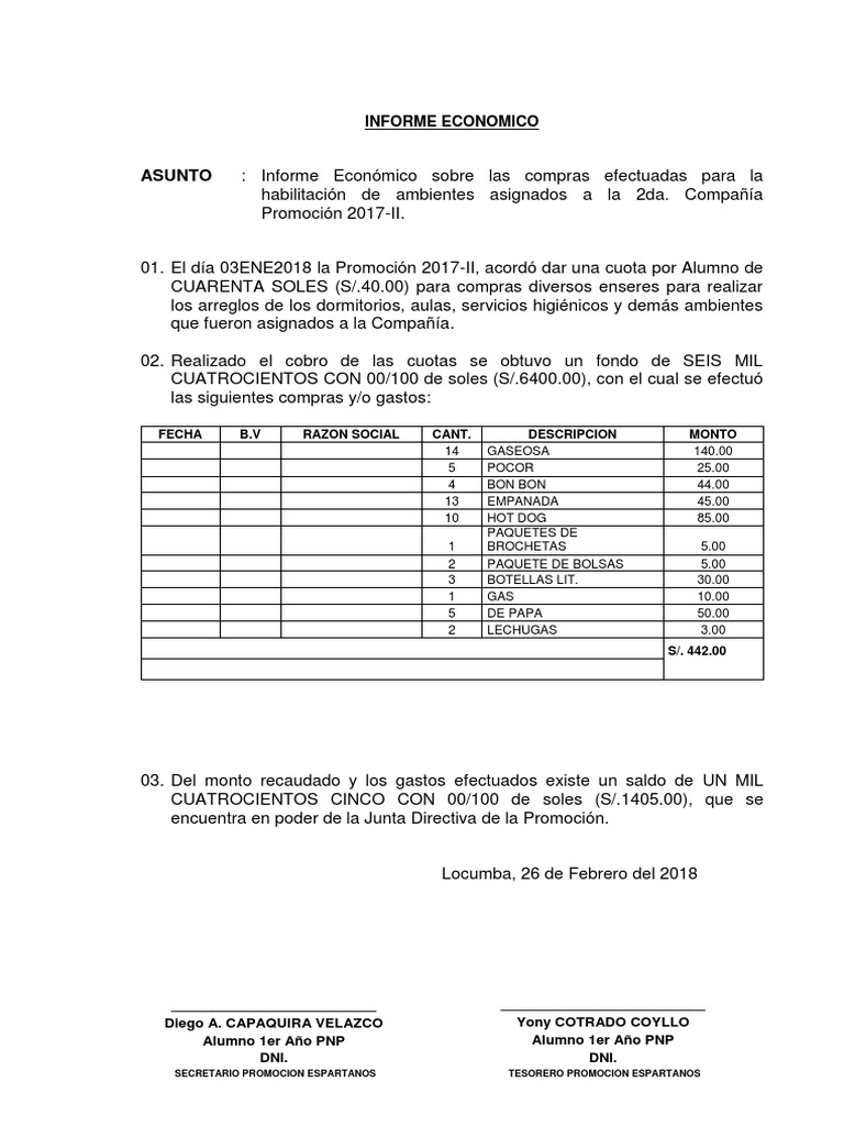 Informe Economico | PDF