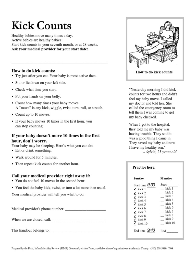 How To Do Kick Counts | PDF