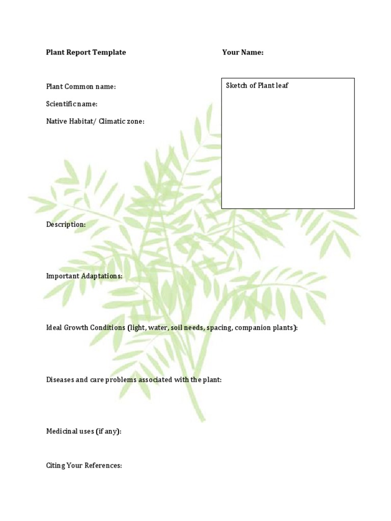 Plant Report Template Class 81 | PDF | Pine | Plants