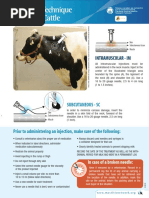 Locating Cattle and Sheep Injection Sites | PDF | Injection (Medicine ...