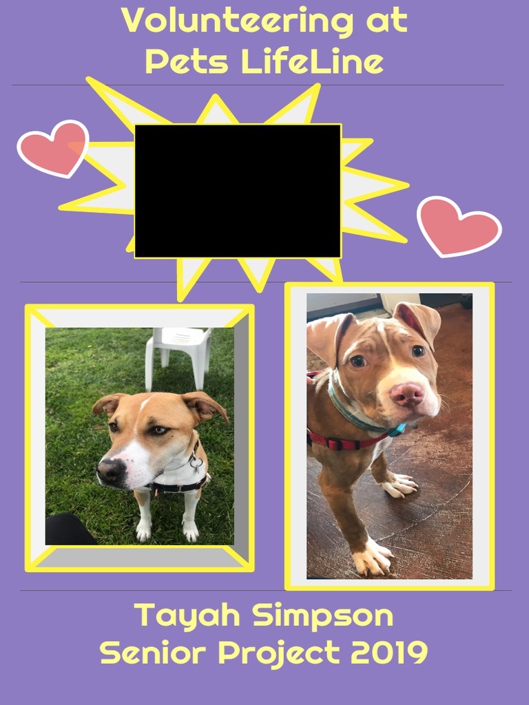 New Senior Project Poster | PDF