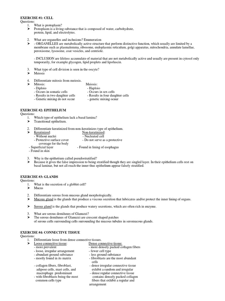 Histology Worksheets All in One | PDF | Stomach | Bone