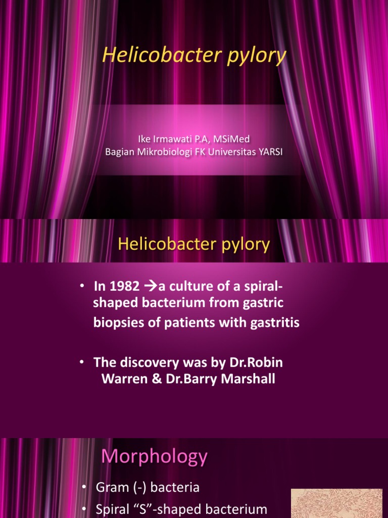 Helicobacter Pylory: Ike Irmawati P.A, Msimed Bagian Mikrobiologi FK ...