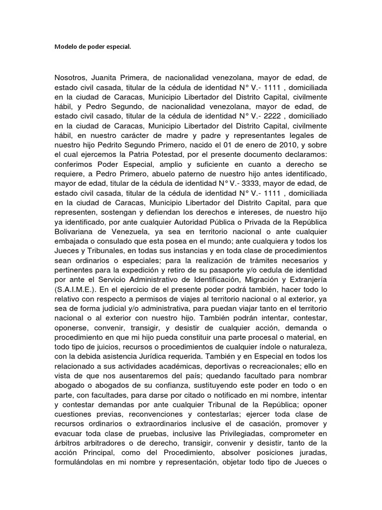 Modelo de Poder Especial | Descargar gratis PDF | Justicia | Crimen y ...