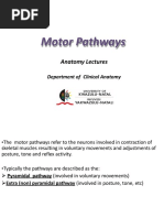 GraphPad Prism 10 User Guide - Forest Plots | PDF | Teaching Methods ...