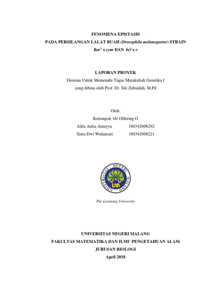 Epistasis pada Persilangan Drosophila | PDF