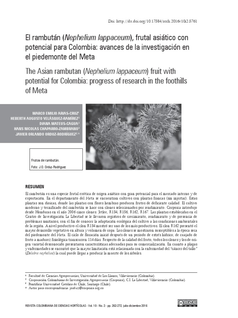 Rambutan | PDF | Hormiga | Cáncer