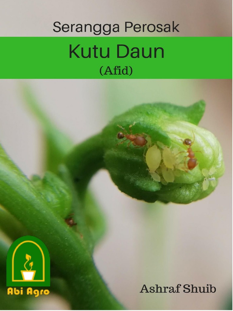 Serangga Perosak - Kutu Daun (Afid) | PDF