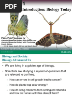 Taxonomy Classification of Slugs and Snails | PDF | Mollusca | Taxonomy ...