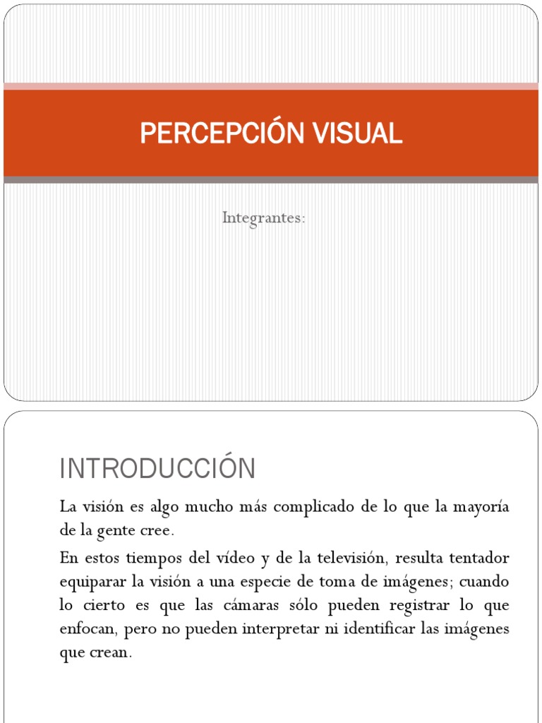 Percepción Visual | PDF | Percepción visual | Percepción