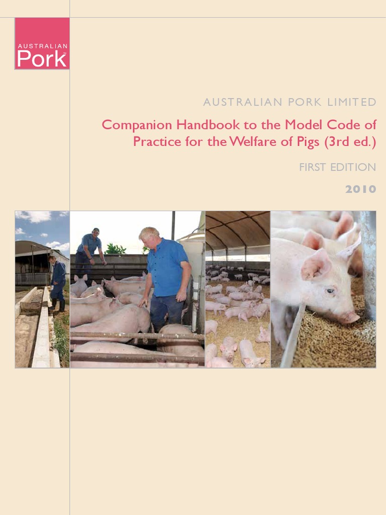 APL Companion HandBook To The Model Code of Practice 2010 | Download ...