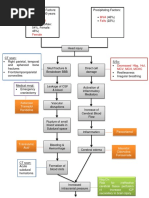 Bipolar Disorder Concept Map | PDF | Bipolar Disorder | Serotonin