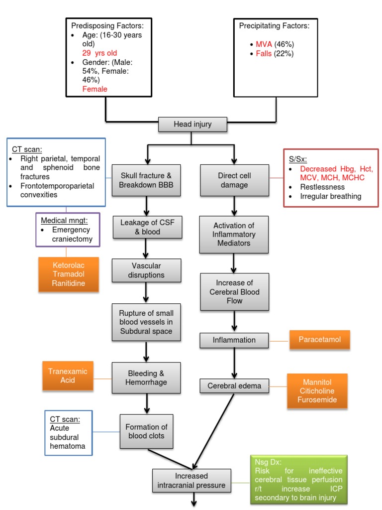 Concept Map TBI | Traumatic Brain Injury | Neurological Disorders