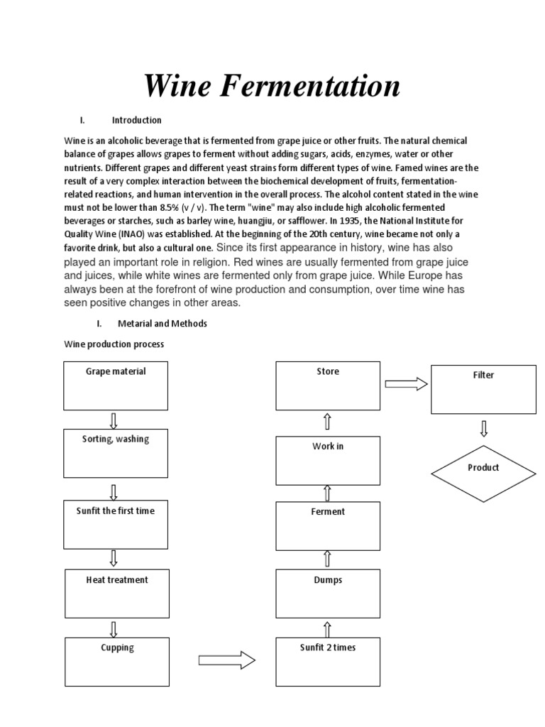 Wine Fermentation | PDF | Wine | Grape