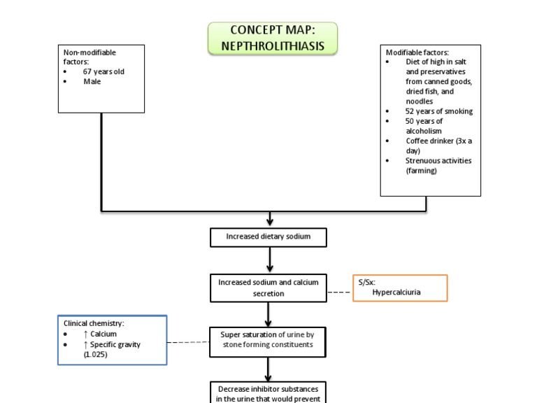 Concept Map Nephrolithiasis | PDF