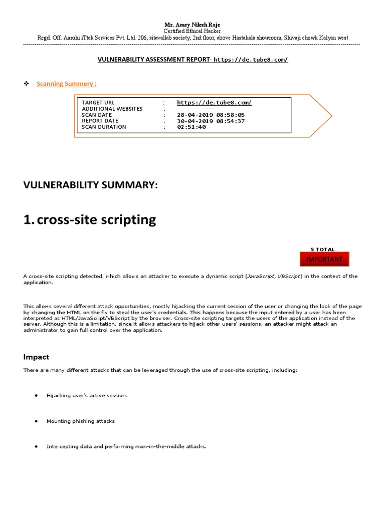 Vulnerability Assessment Report | PDF | Java Script | Software Engineering
