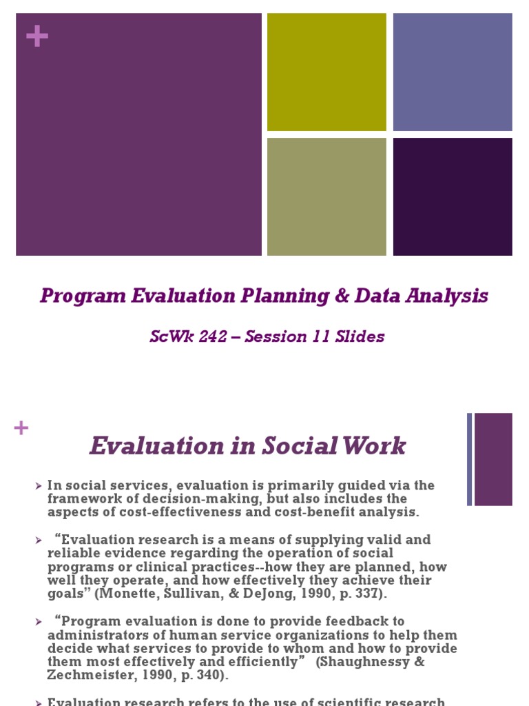Program Evaluation in Social Work | PDF | Program Evaluation | Data ...
