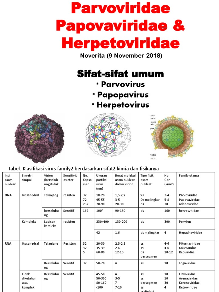 Papovaviridae - PPTX New | PDF