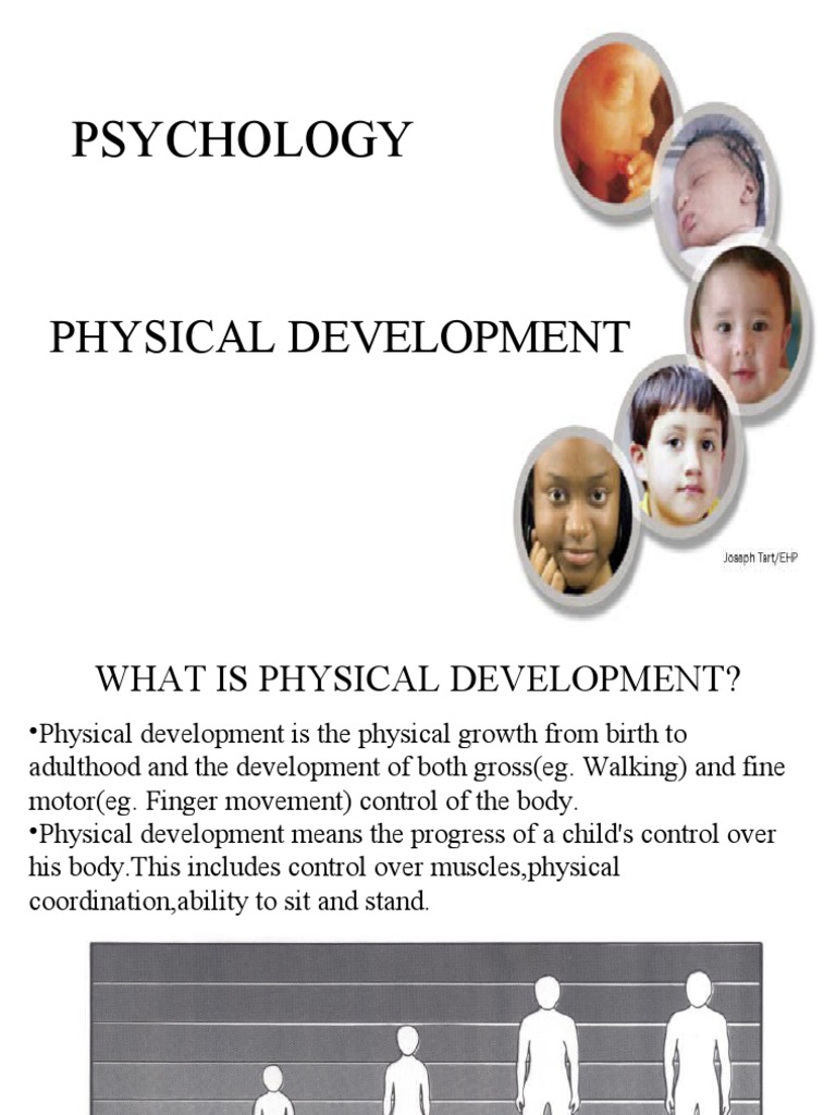 Psychology: Physical Development | PDF | Childhood | Child Development
