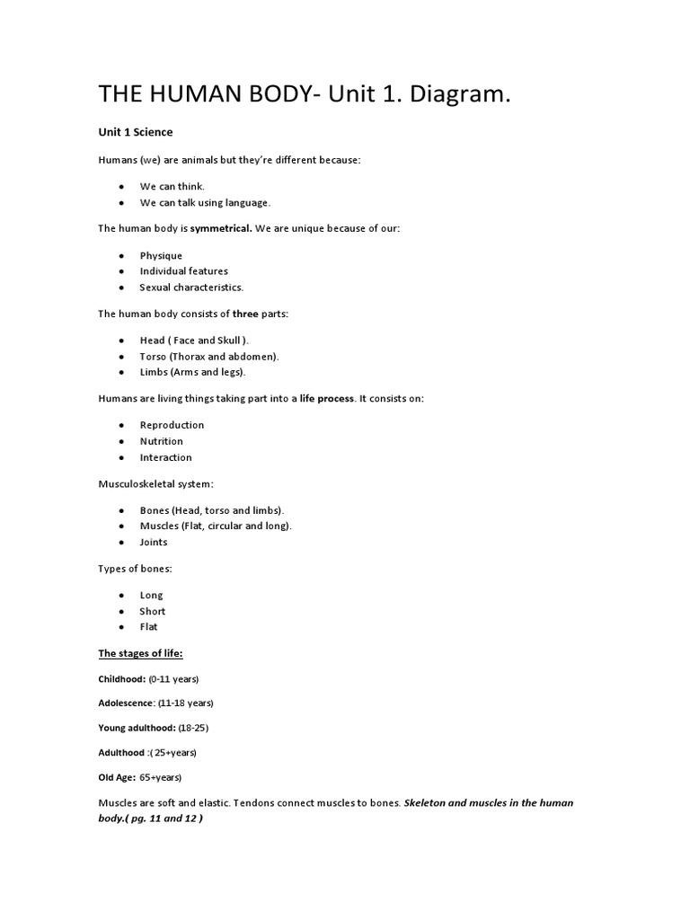 THE HUMAN BODY-Unit 1. Diagram | PDF