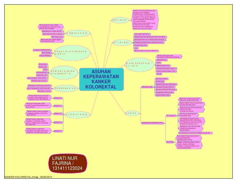 Infeksi Post Partum Infeksi Puerperium | PDF