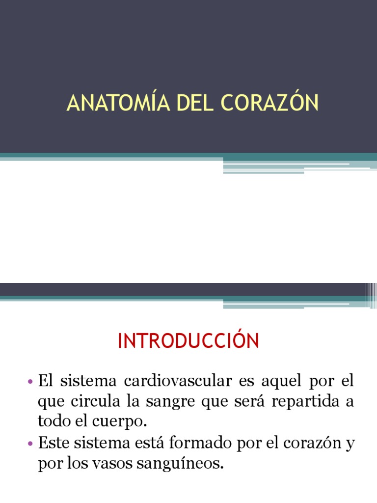 Anatomía de Las Aves y Muestreos en Avicultura | PDF | Vena | Corazón
