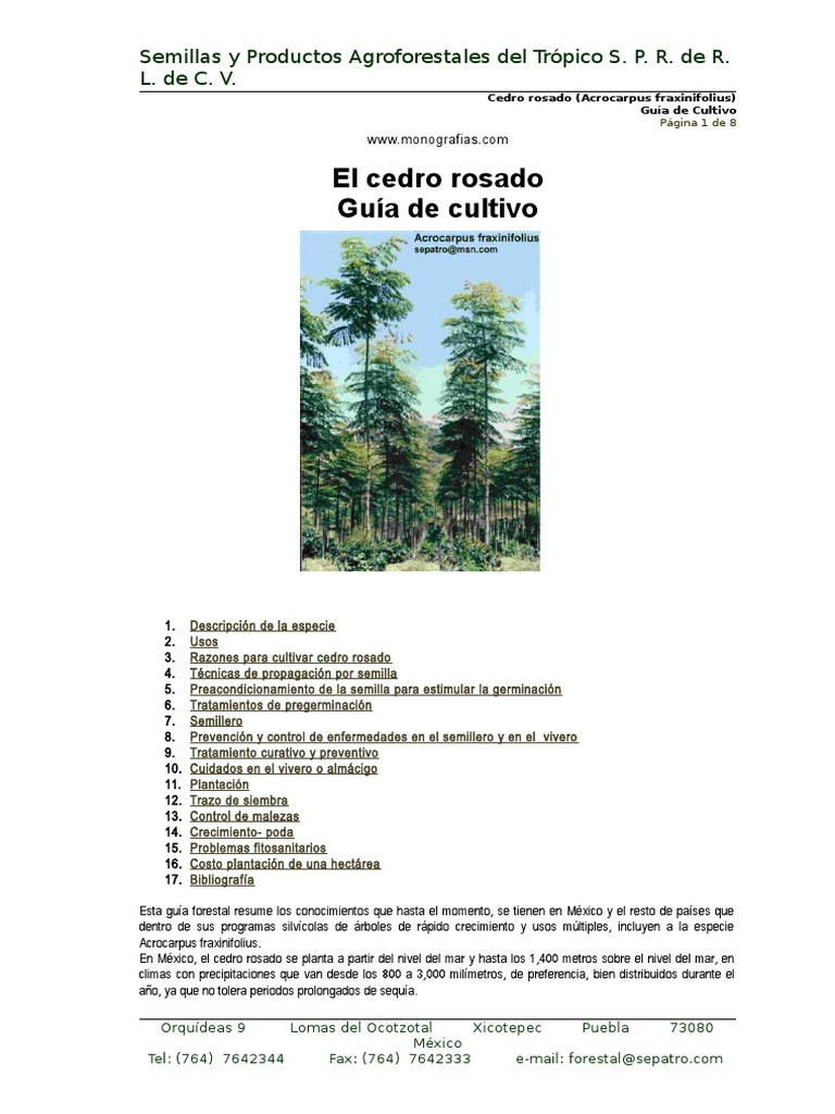 Guia. de Cultivo Del Cedro Rosado | PDF | Siembra | Madera