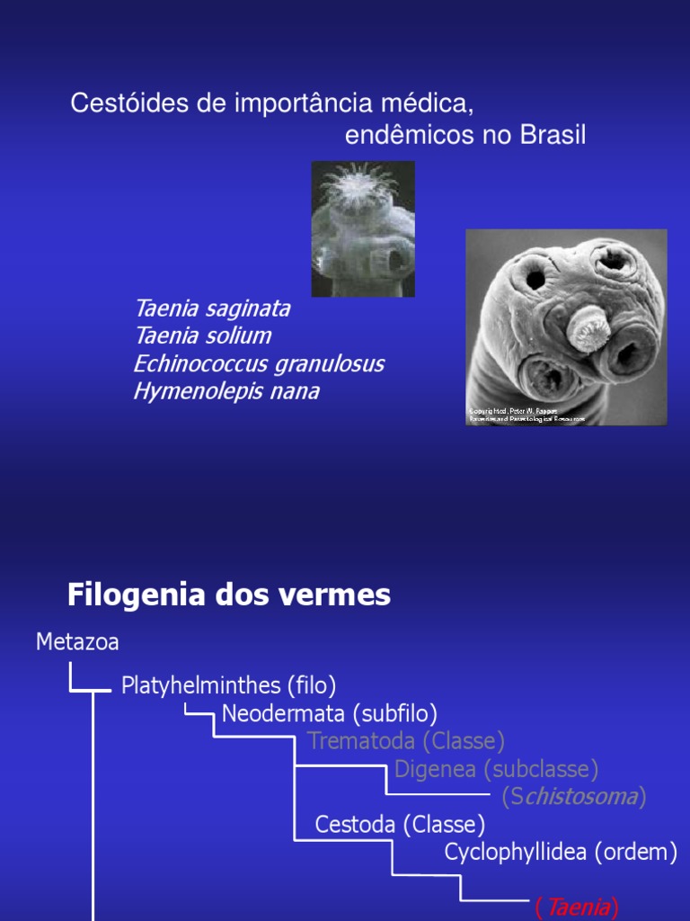 Cestoides.pdf | Imunologia | Medicina clínica