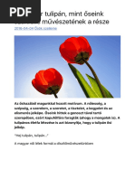 Huszka József - Az Istenfa 1908. | PDF