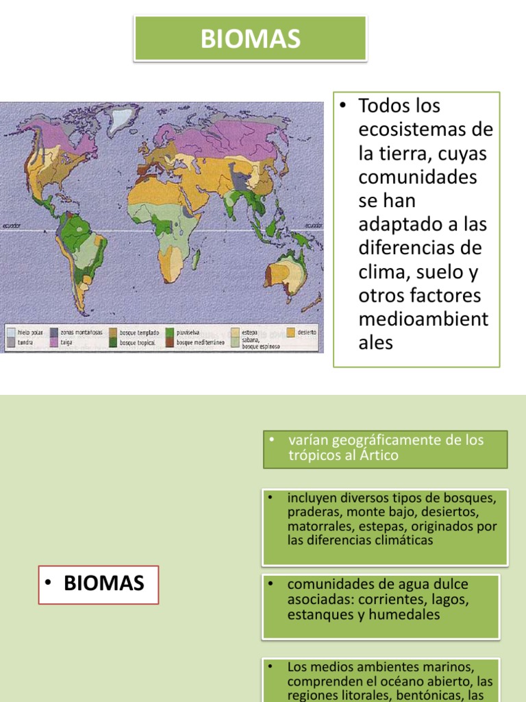 Biomas y Ecosistemas de Ecuador | PDF | Clima | Habitat