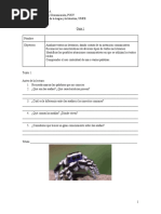 Ciclo de vida y reproducción de arañas | PDF | Araña | Huevo