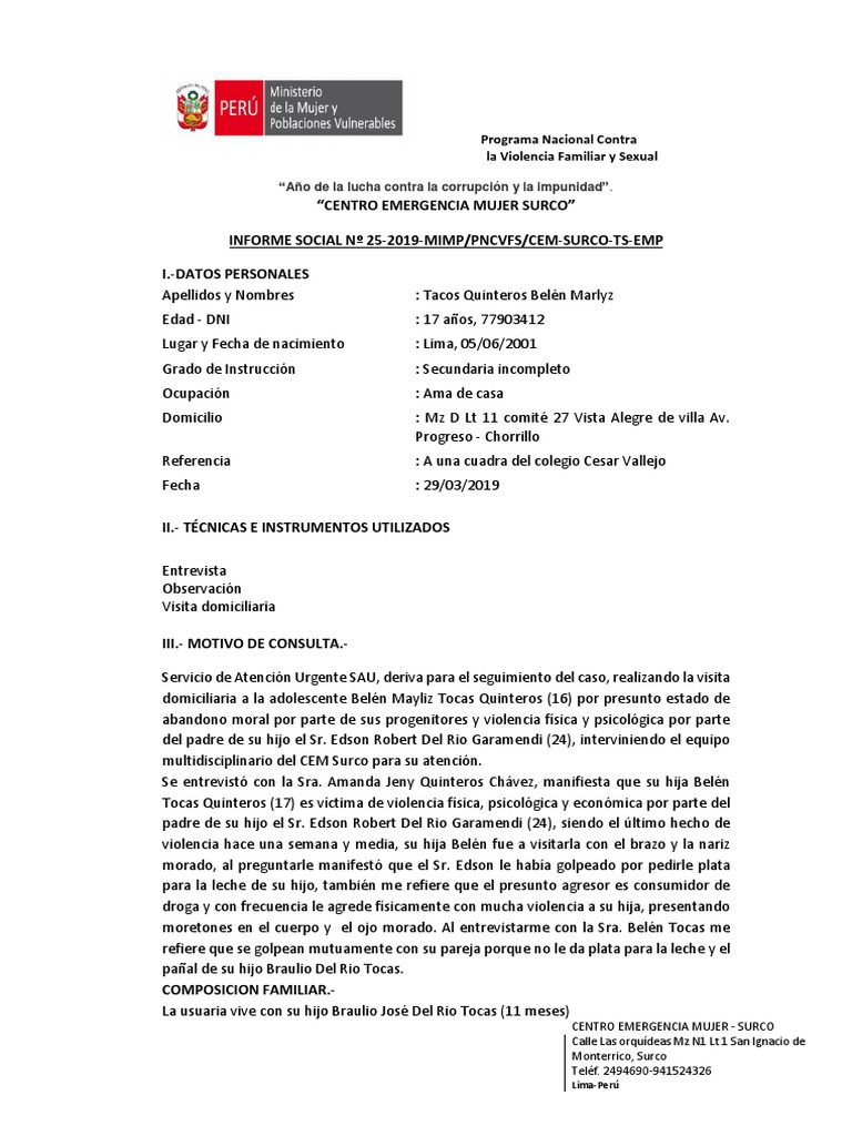 Informe Social | PDF | Violencia | Violencia doméstica